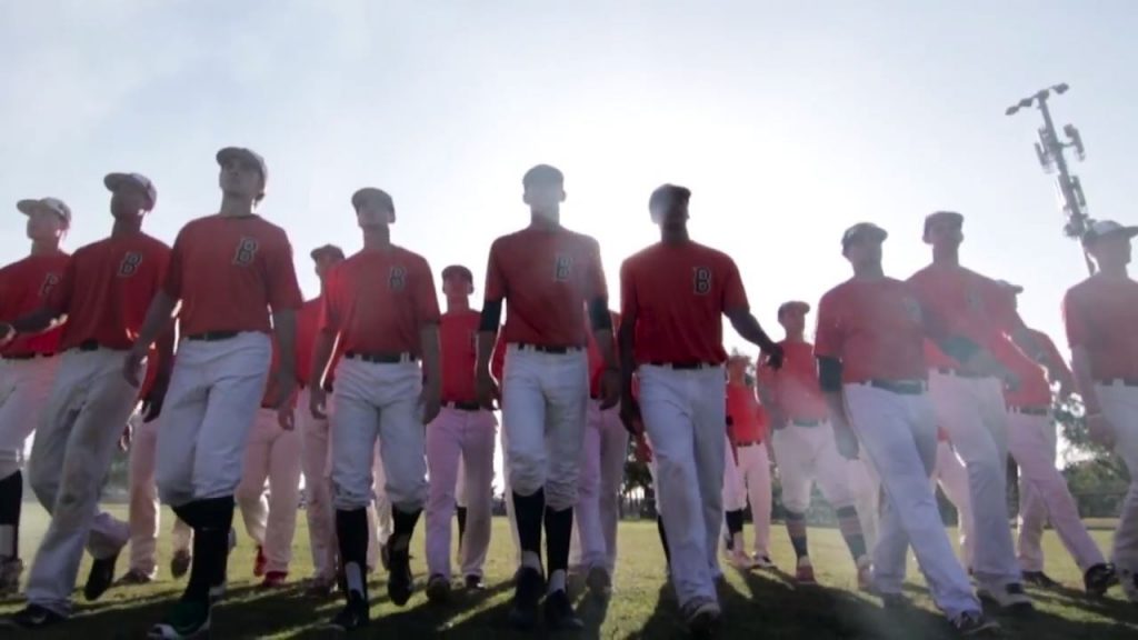 How it Works - SoCal Birds Baseball